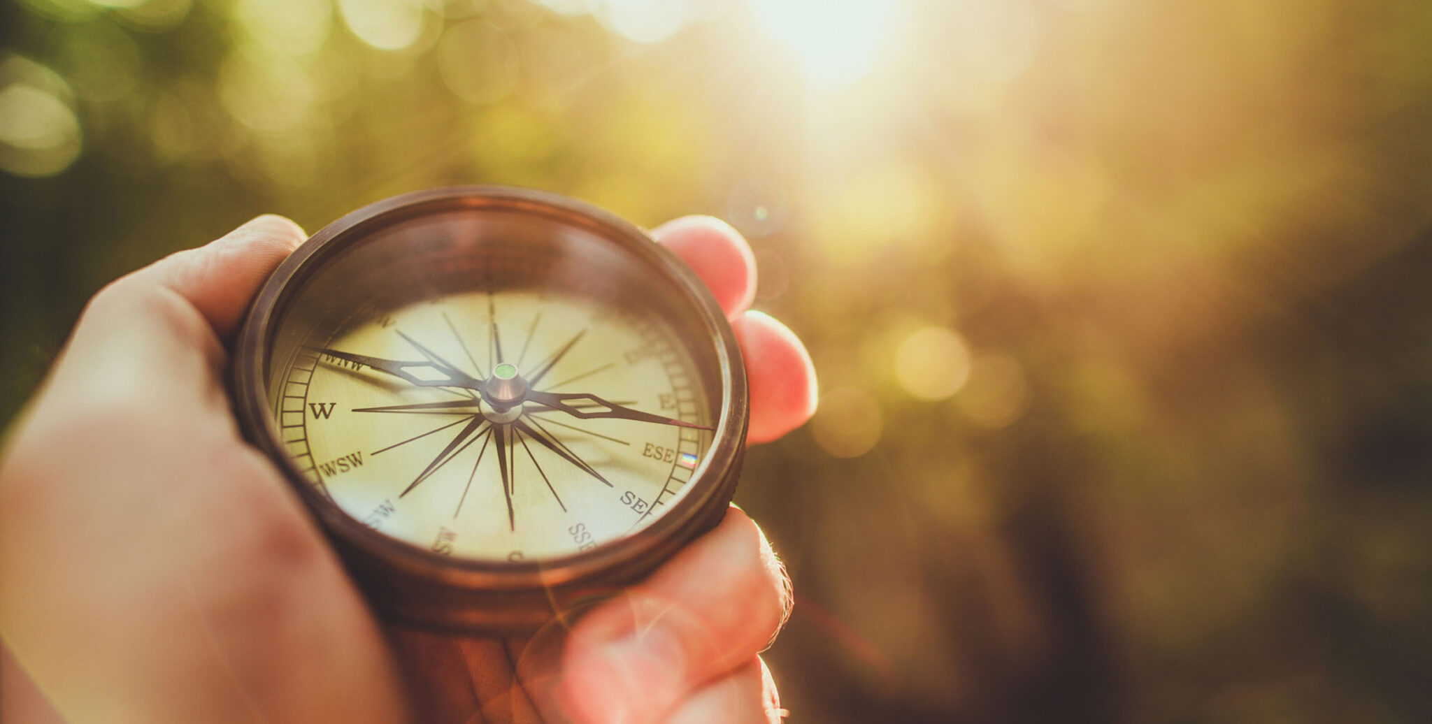 Compass Check - How to Build a Successful Team & Company Culture | AVW